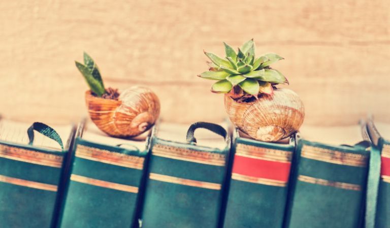 How to Pack Books | 50+ Tips Shipping and Storage of Books